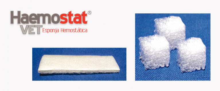 Haemostat Vet | Blog Jordi Gimeno